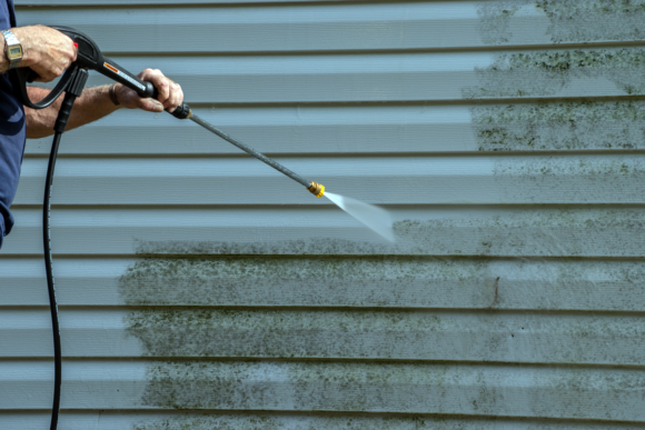 Mildew Removal | How To Get Rid Of Mildew In House